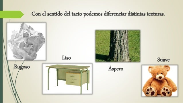 Actividad 2 izquierdo rodríguez. los cinco sentidos