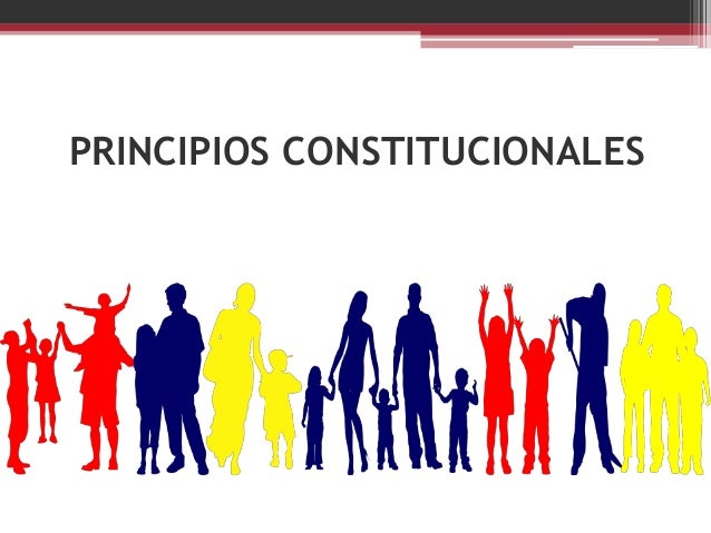 principios fundamentales