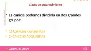 COLORIMETRIA CAPILAR / LA CANICE, TIPOS, CUIDADOS | PPTX