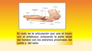 Trabajo asignatura | PPTX
