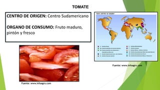 Actividad colaborativa1 288 | PPTX