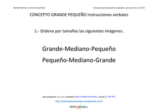Actividad concepto tamaños | PDF