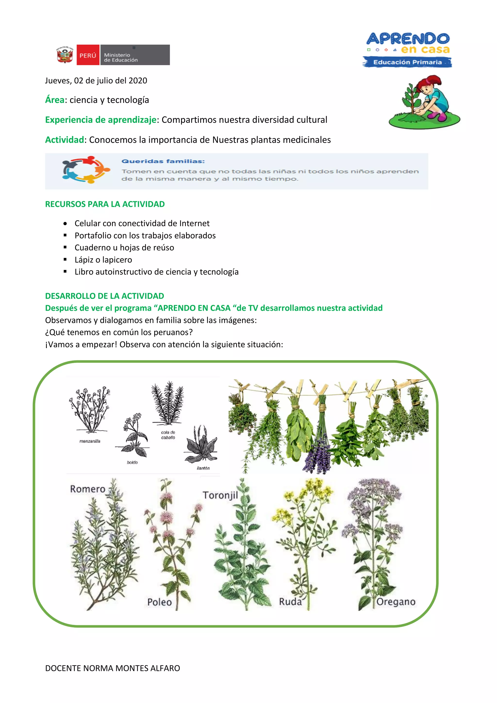 ACTIVIDAD DE APRENDIZAJE PLANTAS MEDICINALES - NORMA MONTES | PDF