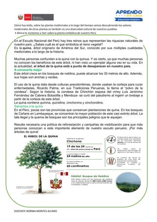 ACTIVIDAD DE APRENDIZAJE PLANTAS MEDICINALES - NORMA MONTES | PDF