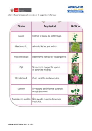 ACTIVIDAD DE APRENDIZAJE PLANTAS MEDICINALES - NORMA MONTES | PDF