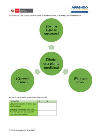 ACTIVIDAD DE APRENDIZAJE PLANTAS MEDICINALES - NORMA MONTES | PDF