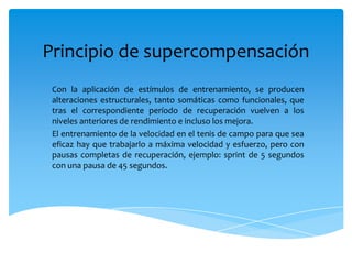Principios de entrenamiento | PPTX