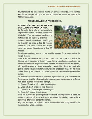 Actividad de reconocimiento del cultivo de piña | PDF