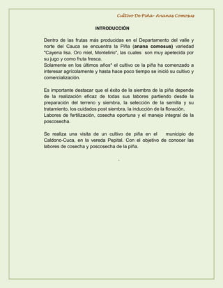 Actividad de reconocimiento del cultivo de piña | PDF