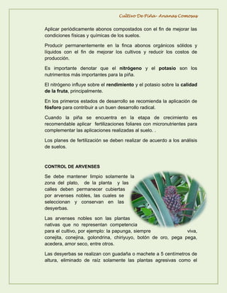 Actividad de reconocimiento del cultivo de piña | PDF