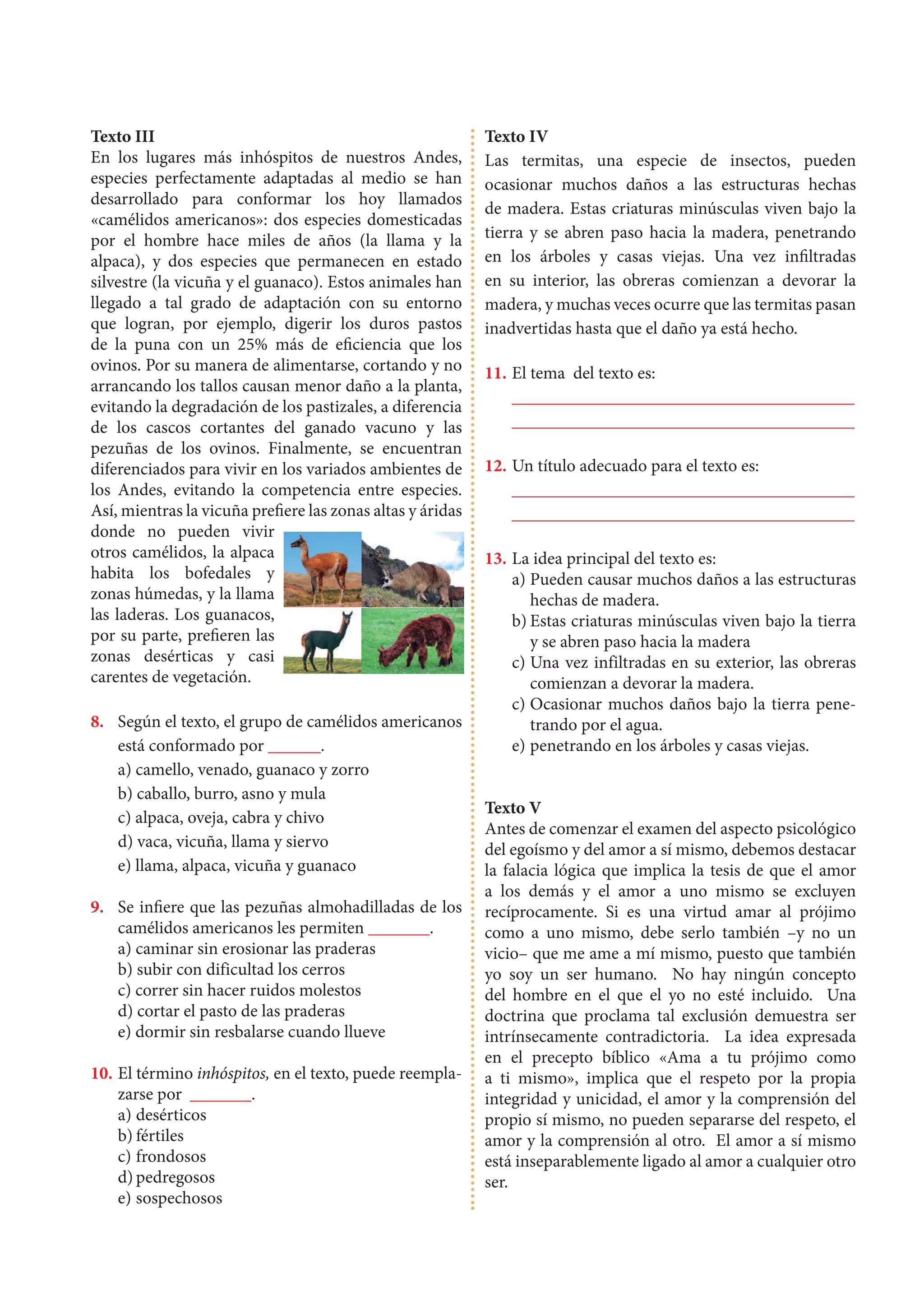 Actividades-de-Comprensión-de-Textos-para-Segundo-Grado-de-Secundaria…