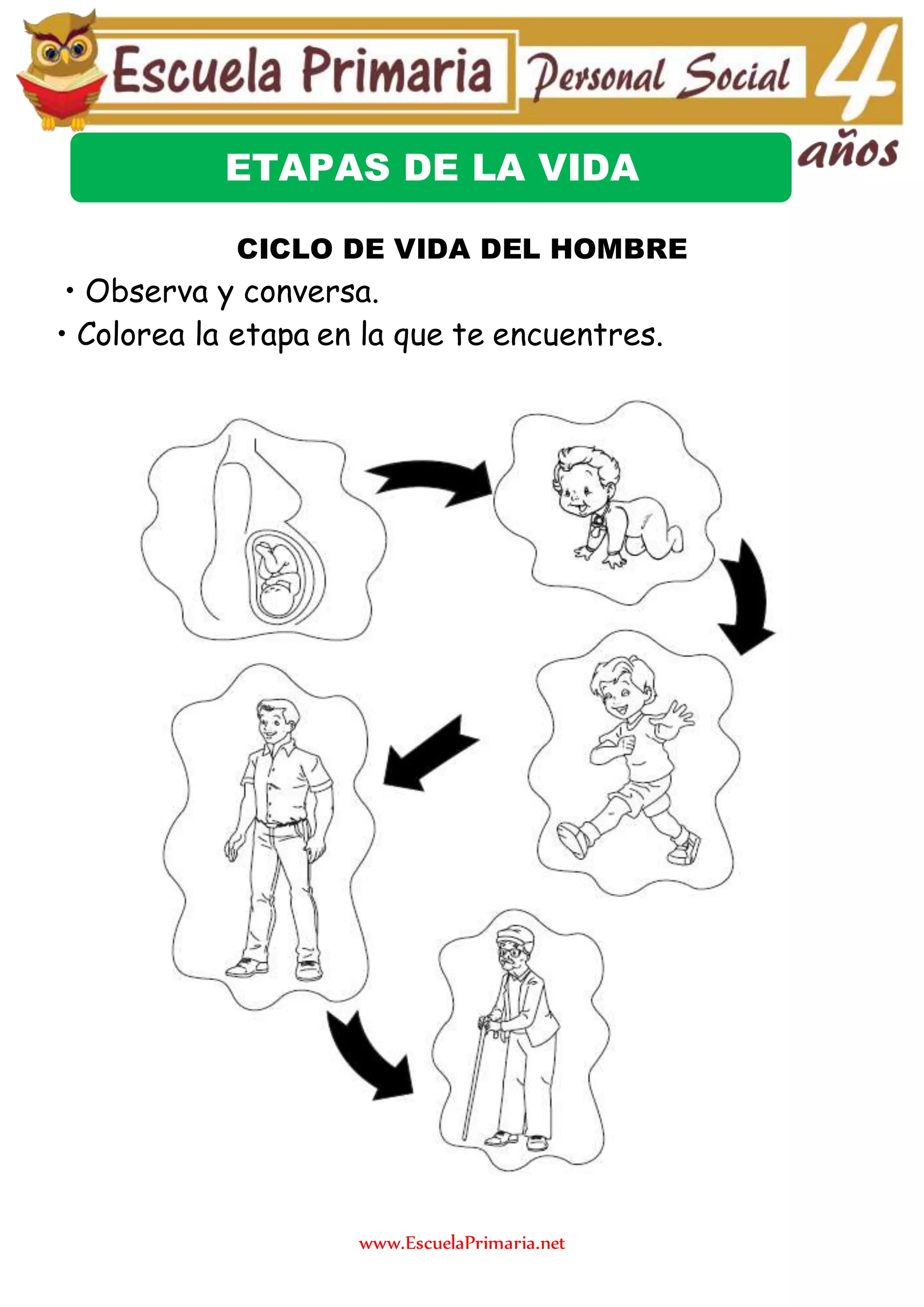 Actividades-de-Etapas-de-la-Vida-para-ninos-de-cuatro-anos.doc