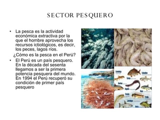 Actividades Extractivas | PPT