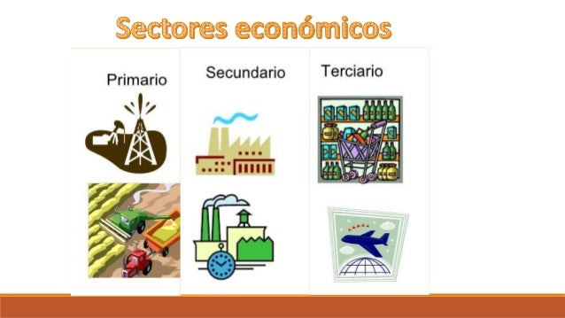 Actividades y sectores económicos