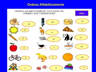 Actividades 2b Sustantivos Comunes Y Orden Alfabetico | PPT