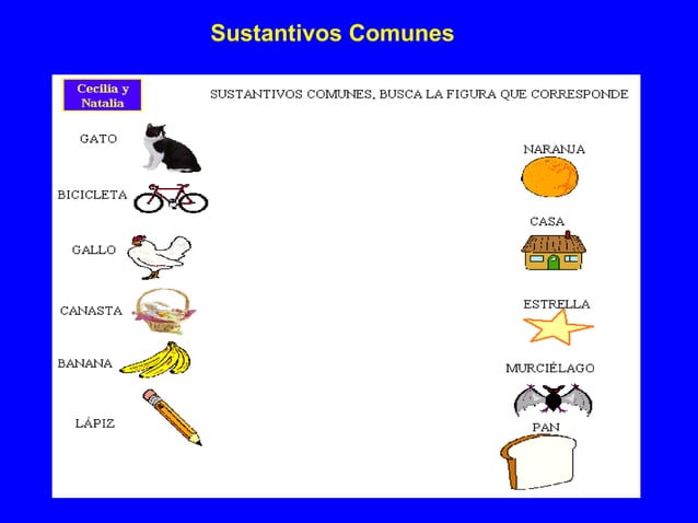 Actividades 2b Sustantivos Comunes Y Orden Alfabetico | PPT