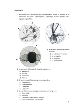 Actividades biodiversidad | PDF
