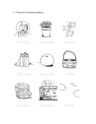 Actividades ce ci | DOC