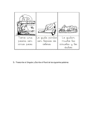 Actividades ce ci | DOC