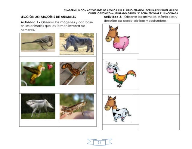 Actividades cuadernillo primer grado (1)