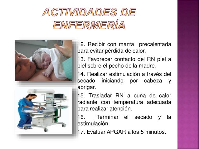 Equipamento De Trabalho De Parto E Sala De Parto