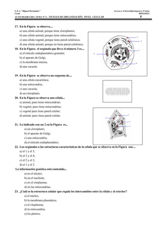 Actividades de la célula | PDF