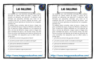 actividades de lectura semana 2 tercero.pdf