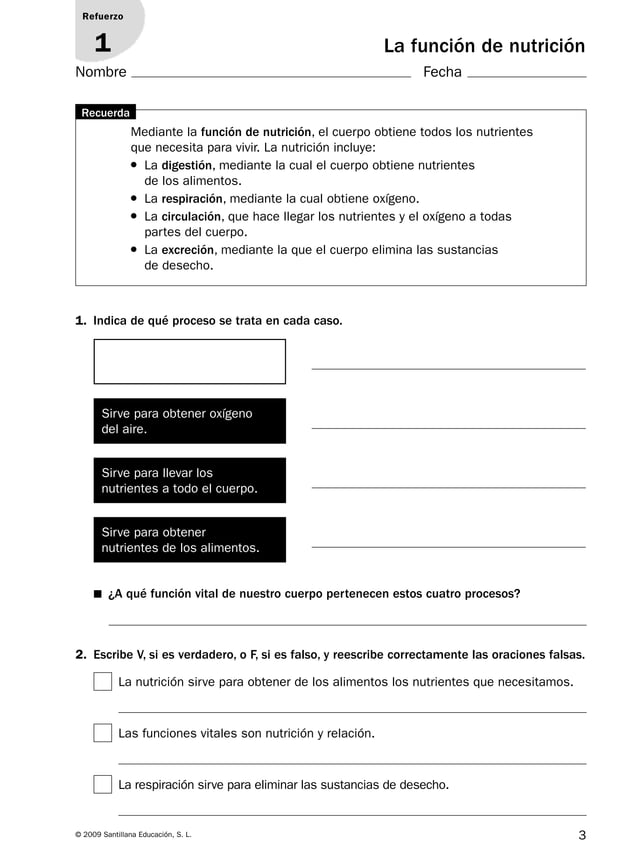 La función de nutrición en el cuerpo humano | PDF