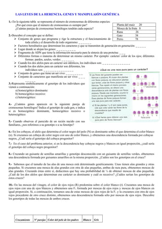 Actividades de repaso por unidades 1 | PDF