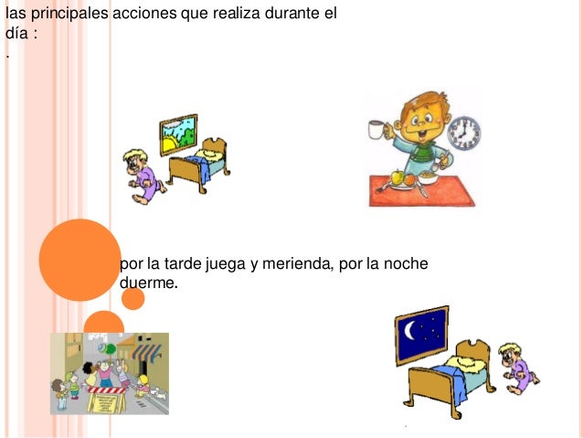 Actividades dia y noche