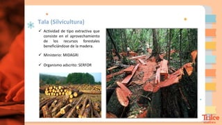 Actividades económicas I(Extractivas-Productivas).pptx