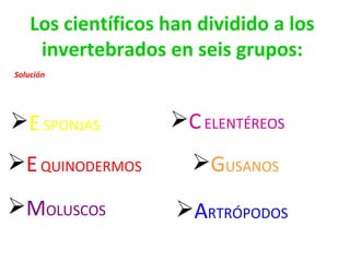 Actividades invertebrados 1ª parte | PPS