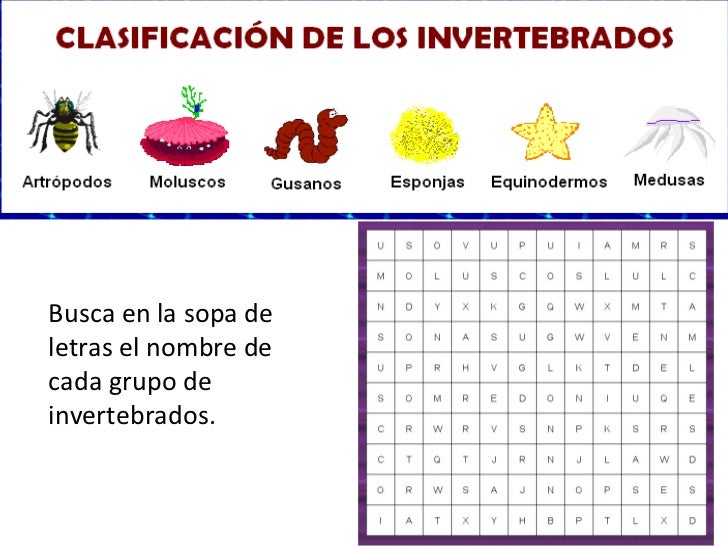 Sopa De Letras De Animales Vertebrados E Invertebrados Para Niños ...