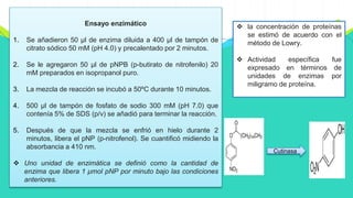 Actividad especifica de la cutinasa | PPTX