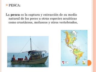 Actividadesprimariassecundariasyterciarias 120615183439-phpapp02 | PPT