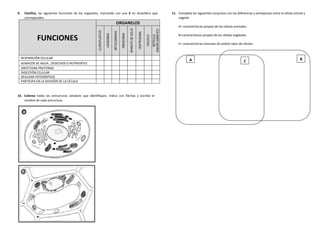 Actividades sobre estructura celular1 | DOCX