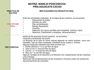 Actividad final de reconocimiento | PPT