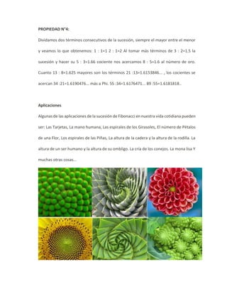 Actividad Final Sucesiones de fibonacci.pdf