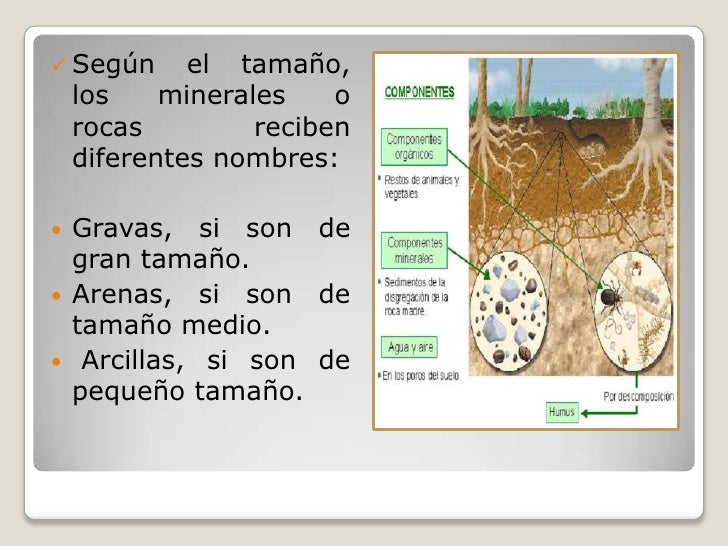cienciasnaturalestcdc
