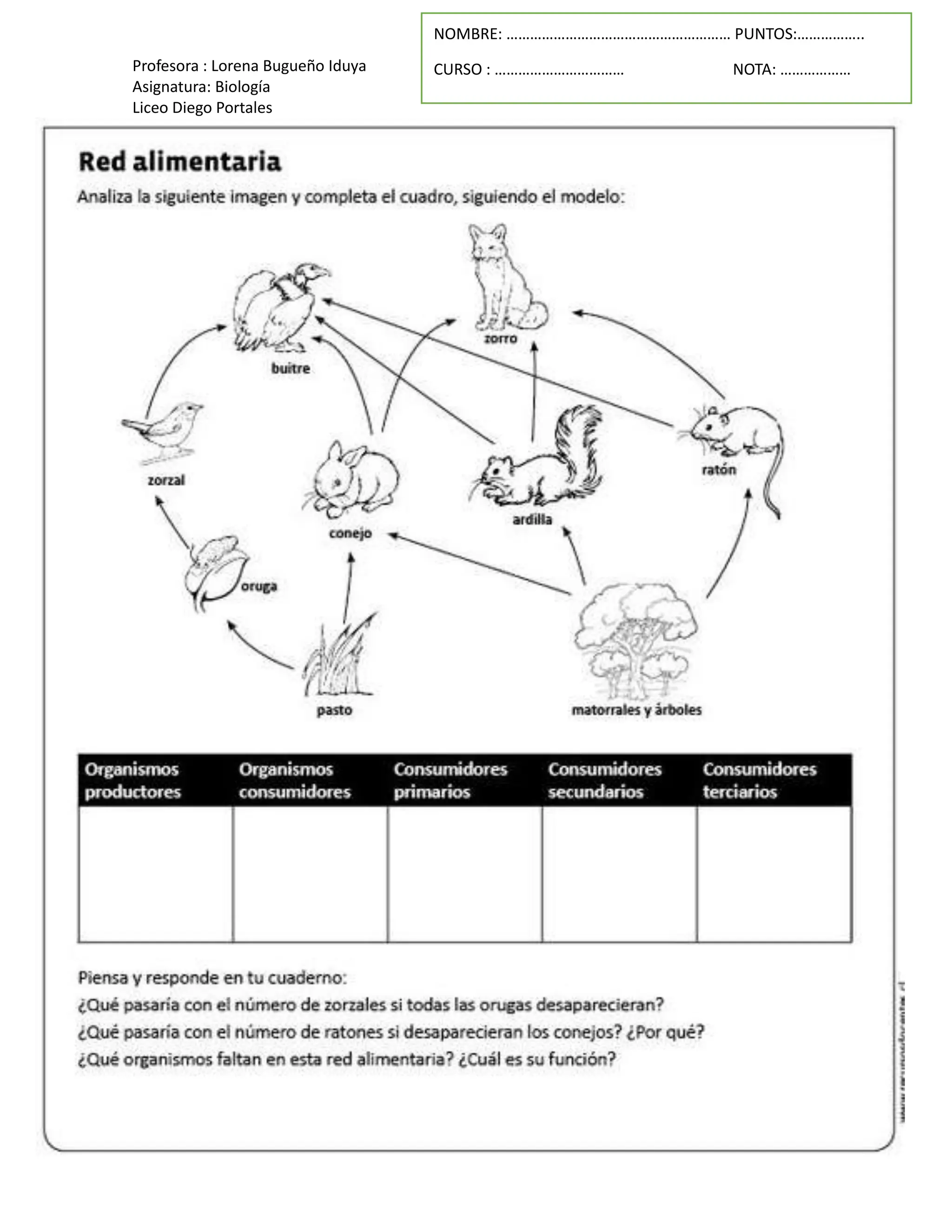 ACTIVIDAD RED ALIMENTARIA y cadenas troficas | DOCX | Environment | Science