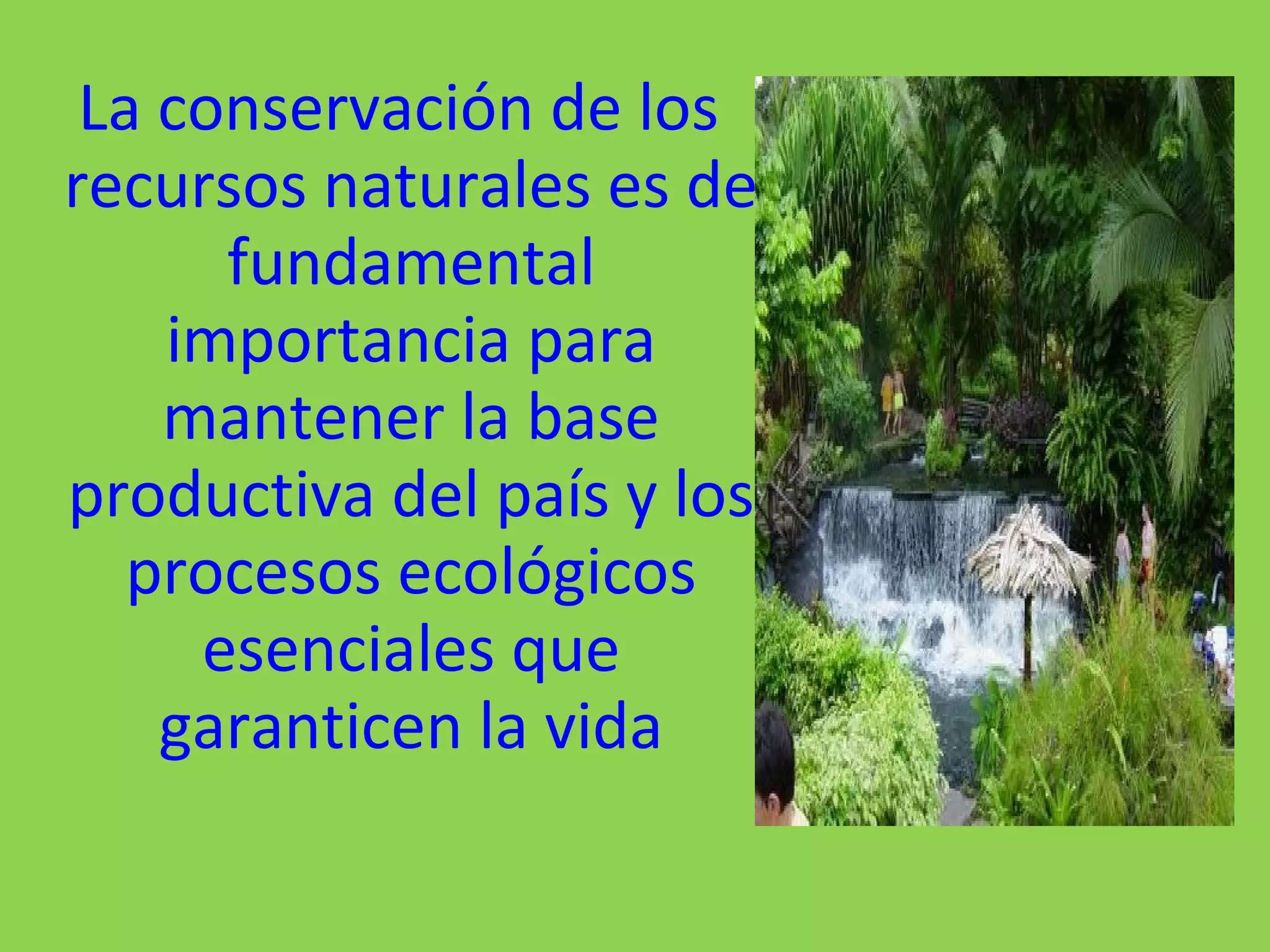 RECURSOS NATURALES TIPOS, PROTECCION Y CONSERVACION | PPT