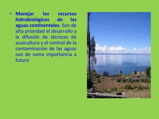 RECURSOS NATURALES TIPOS, PROTECCION Y CONSERVACION | PPT