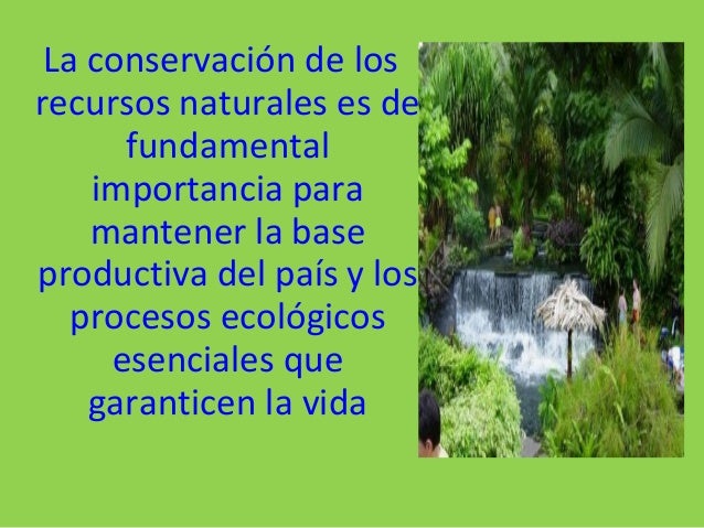 RECURSOS NATURALES TIPOS, PROTECCION Y CONSERVACION