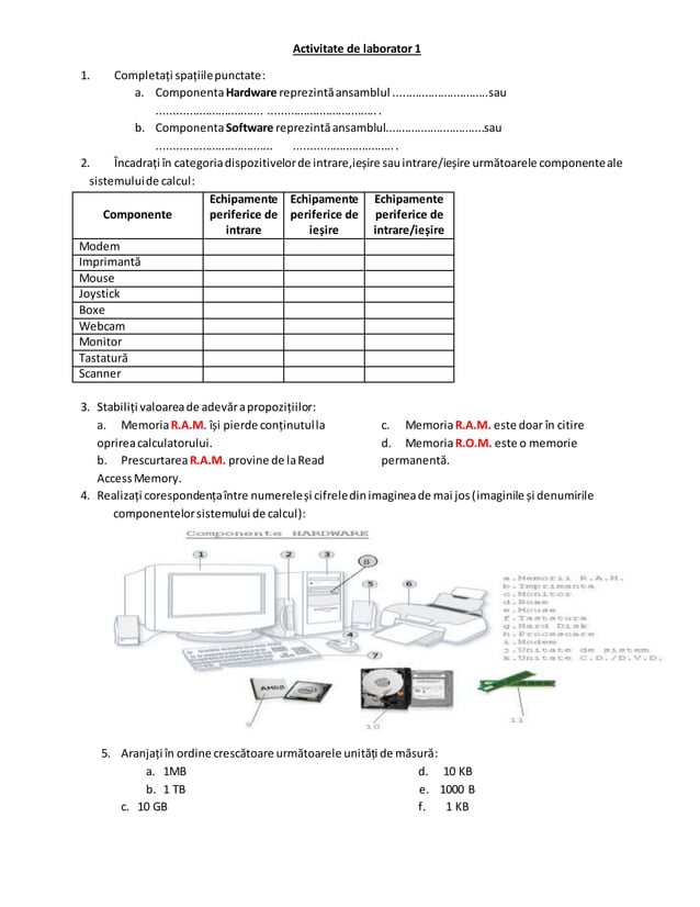 Activitate de laborator 1 cls5 | DOCX