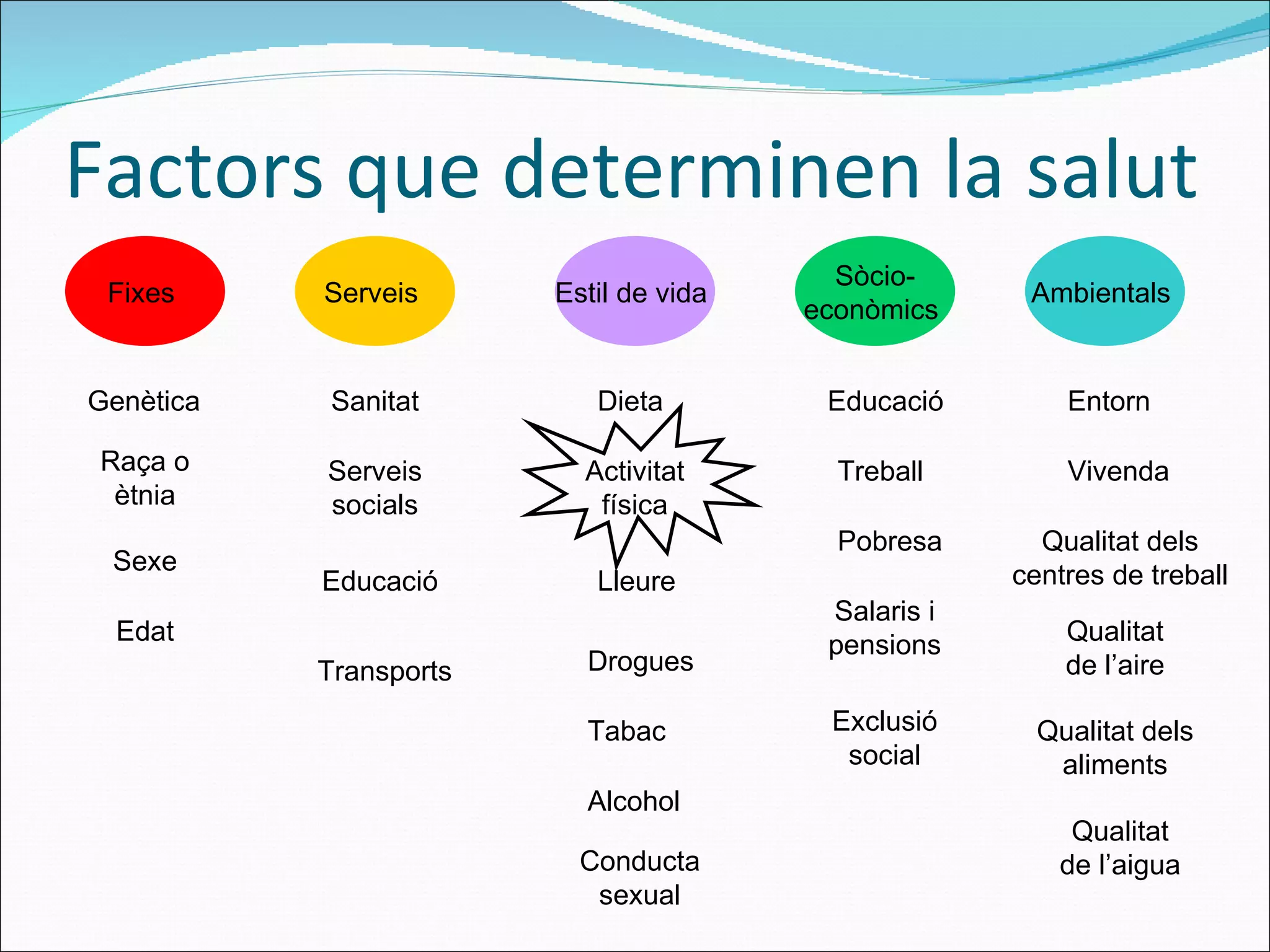 Activitat física i salut | PPT