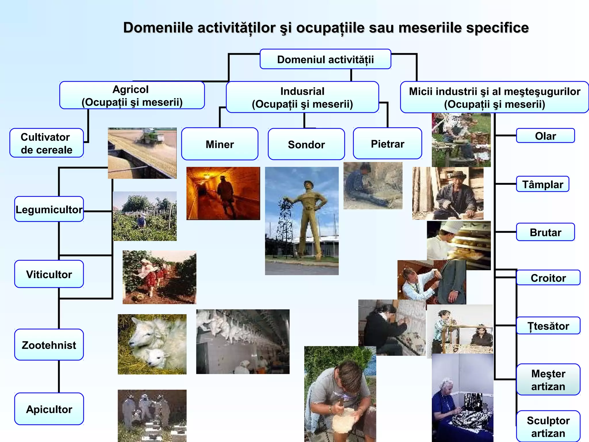 Activitati localitate | PPT