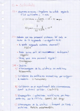 Activitats complementaries - Tema 1 Biologia 3r ESO | PDF