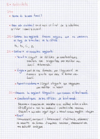 Activitats complementaries - Tema 1 Biologia 3r ESO | PDF