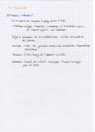 Activitats complementaries - Tema 1 Biologia 3r ESO | PDF