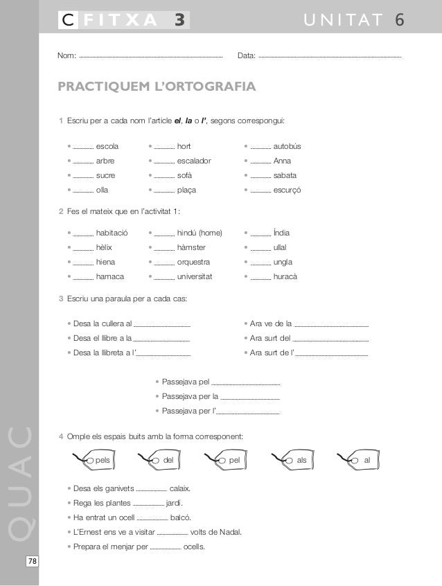 Activitats De Llengua 5é Valencia
